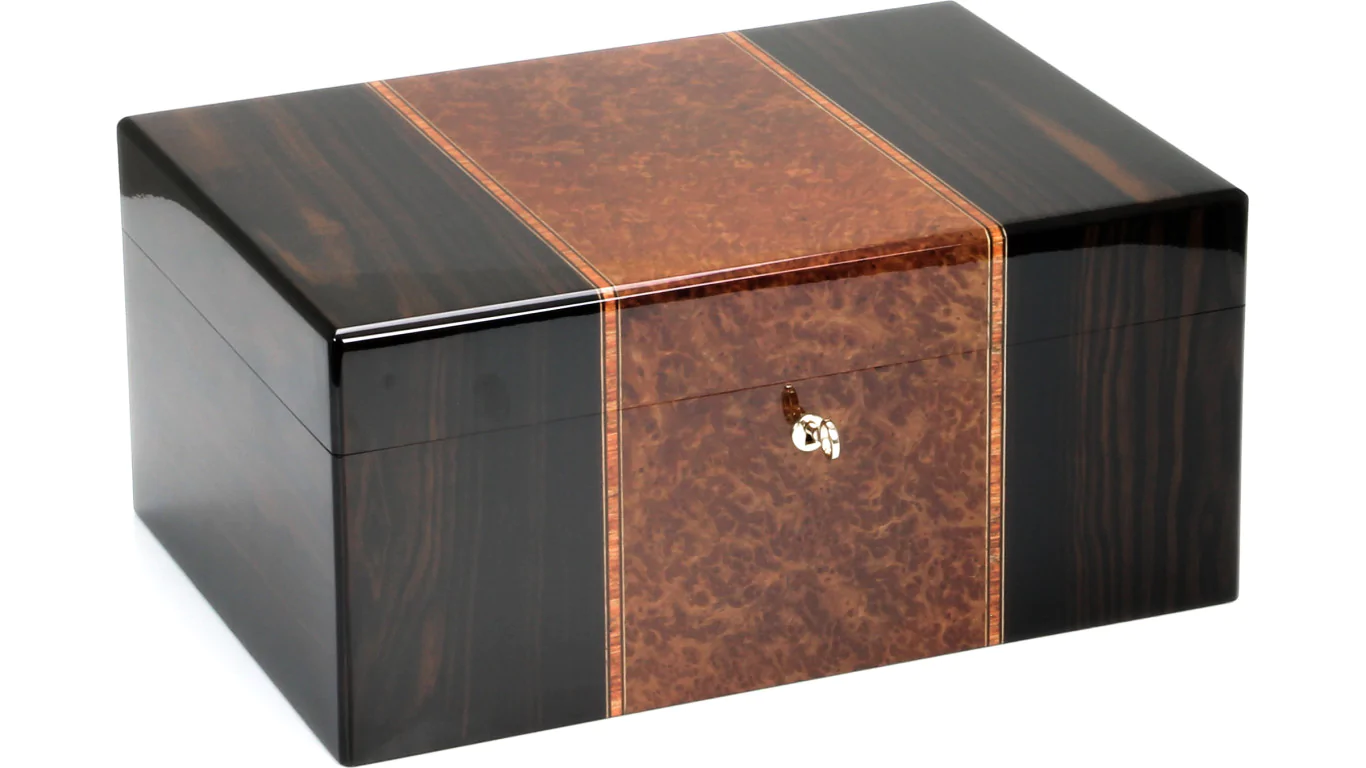 아보 우베 지안 휴미더 마카 사르 바보나 미디엄 | 무료 배송 | 최저 가격에 온라인으로 구매하세요